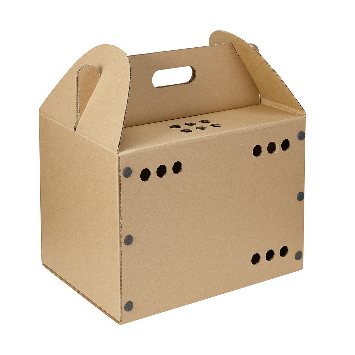 Anko Pet Cardboard Carrier/Perfect for Quick Trips – TheITmart
